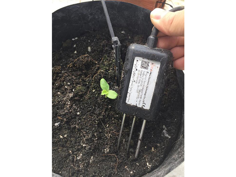 Rk500-23 Soil EC Sensor & Soil Salinity Sensor | Rika Sensors