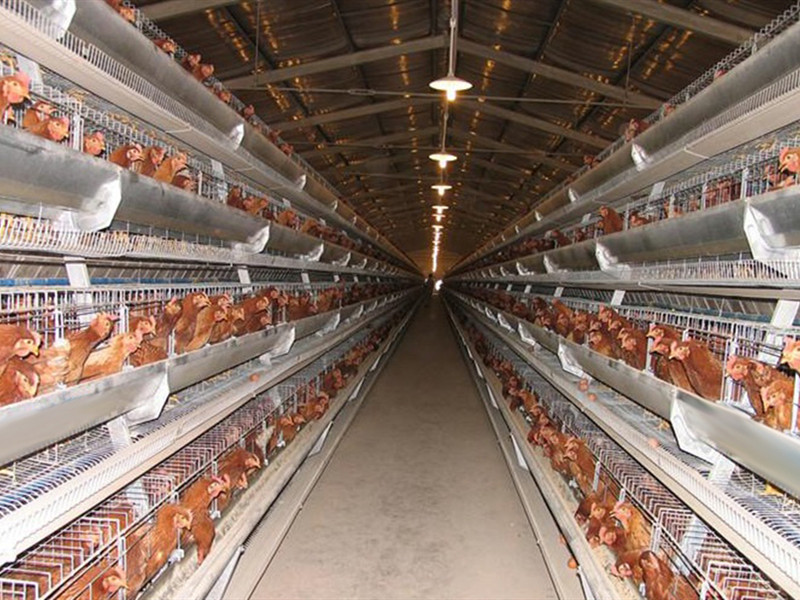 Application Of Temperature And Humidity Sensor In Intelligent Breeding...