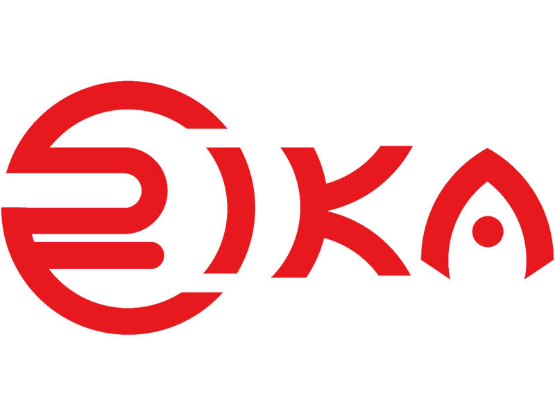 Rikasensor Leading Sensor Technology Innovation, Empowering Future Smart...