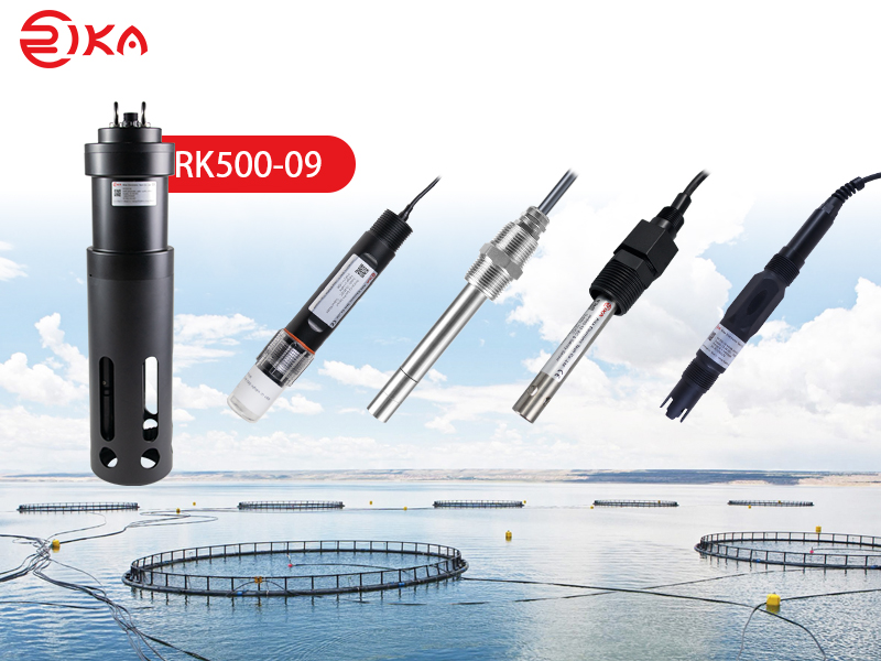 How Water Sensors Help For Unveiling Water Quality Secrets? | Rika Sensors