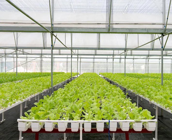 Smart Agriculture Sensors Solution & Farm Monitoring System | Rika Sensors