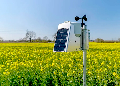 Smart Agriculture Sensors Solution & Farm Monitoring System | Rika Sensors