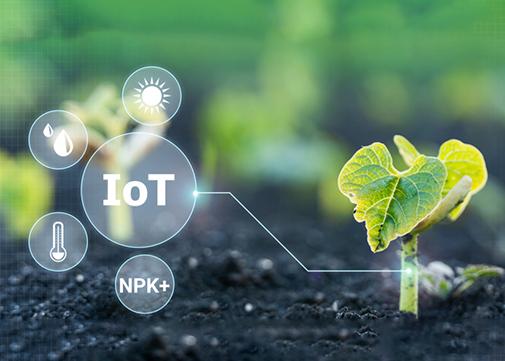 Smart Agriculture Sensors Solution & Farm Monitoring System | Rika Sensors