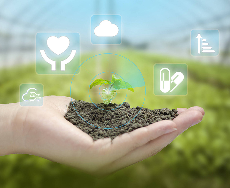 Smart Agriculture Sensors Solution & Farm Monitoring System | Rika Sensors