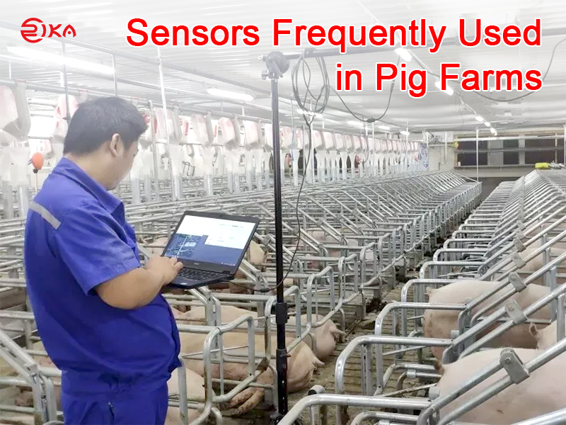 Sensors Frequently Used In Pig Farms, Hunan Rika Electronic Tech Co.,ltd